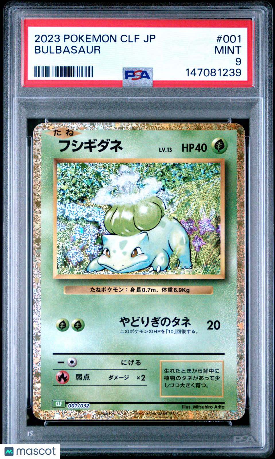 2023 Pokemon Japanese CLF-Trading Card Game Classic Venusaur & Lugia E ...